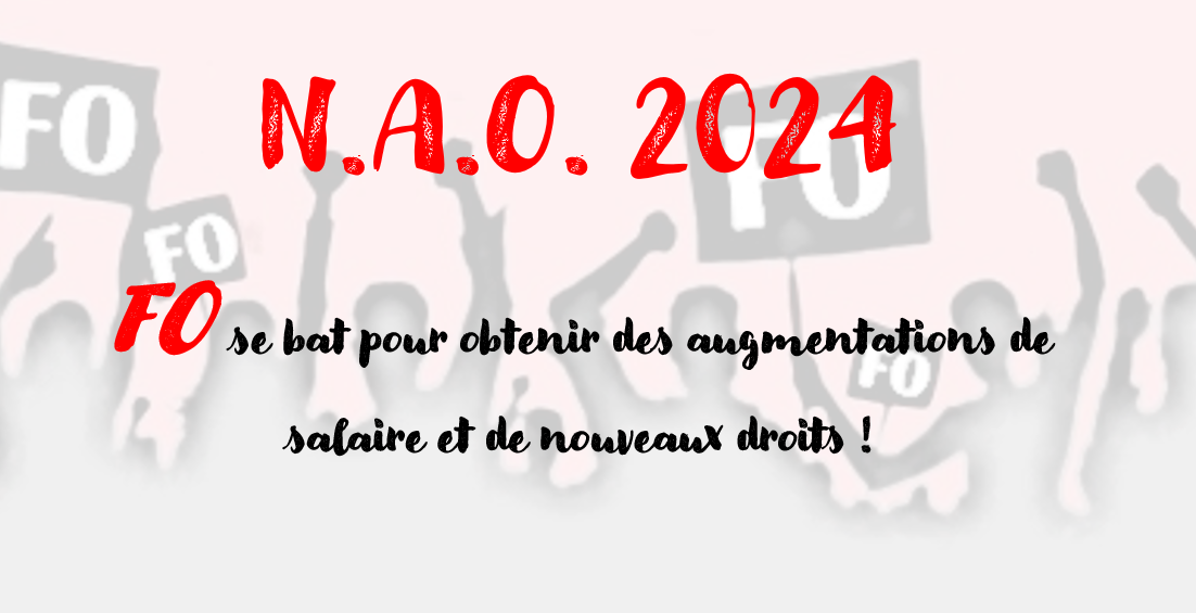 FO se bat pour obtenir des augmentations de salaire et des nouveaux ...